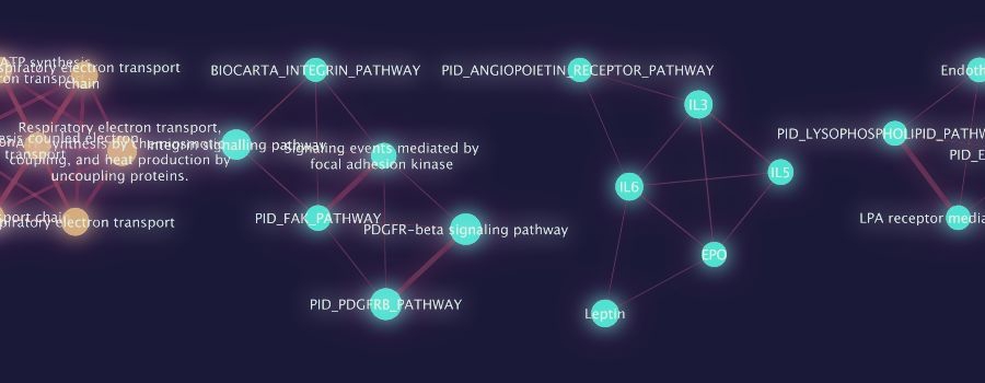 Workflows · Pathway Guide